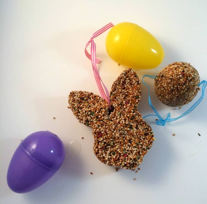 DIY Bird Feeder Easter Craft - Daily Dose of DIY